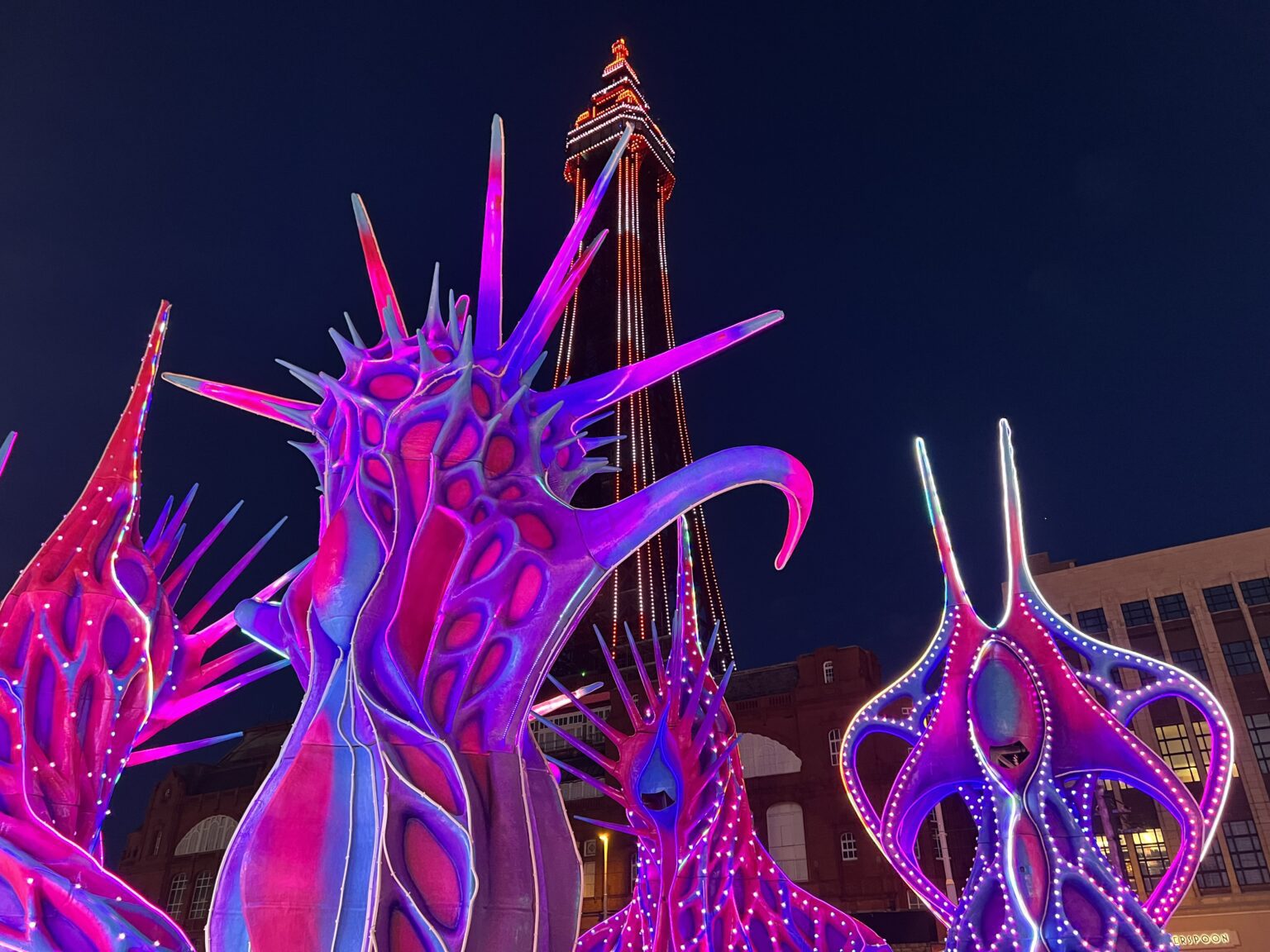 Home Page • The Blackpool Illuminations from Visit Fylde Coast